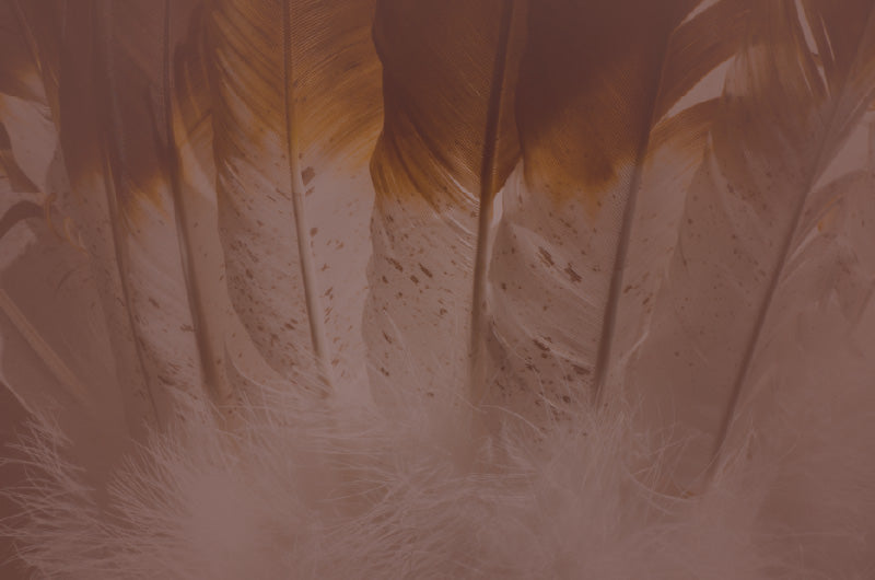 About Us – Tribalure